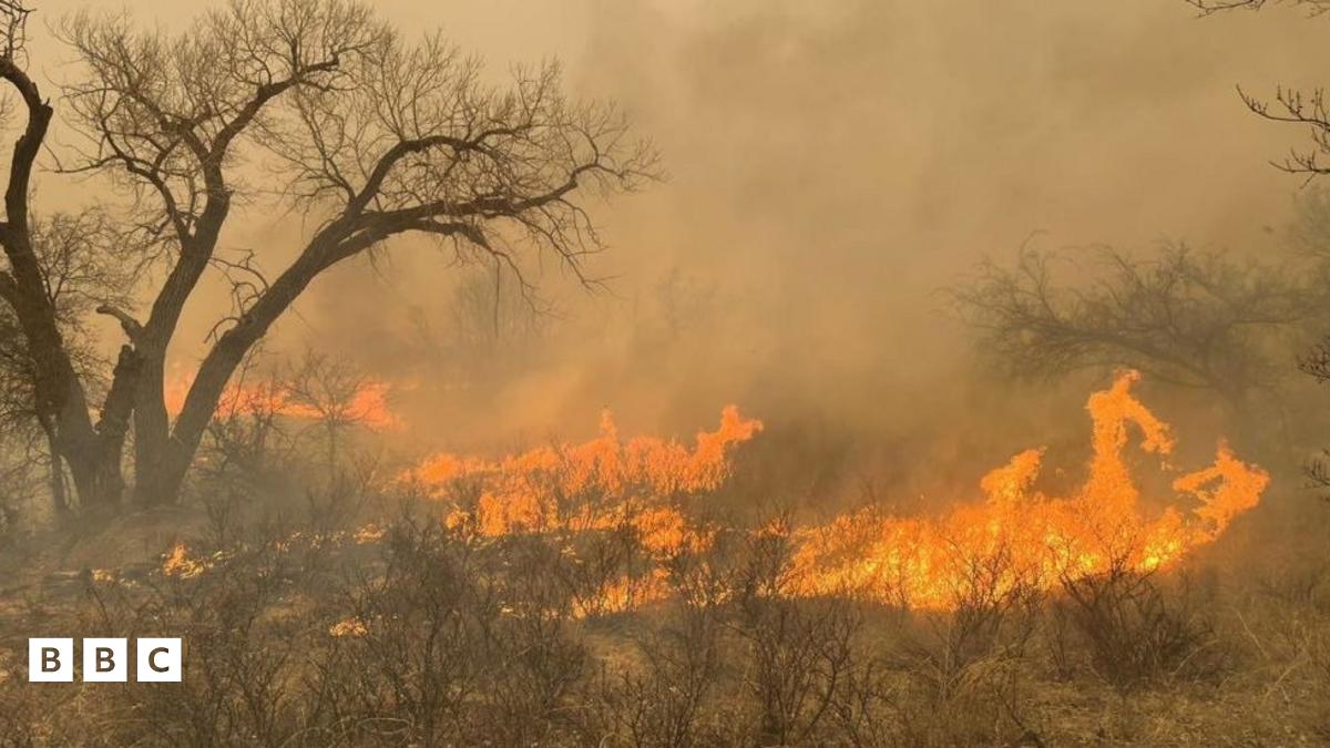 Texas wildfire becomes second-largest fire in US history - BBC Newsround