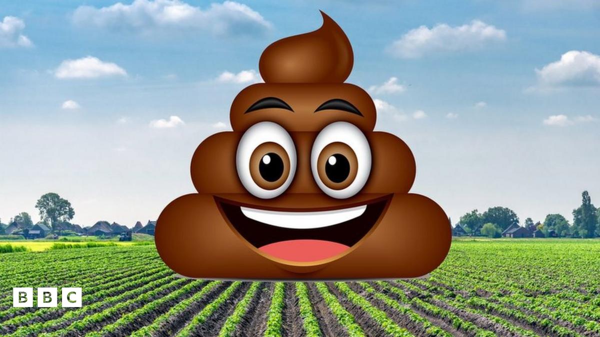 Farming: Why are farmers using human poo fertiliser? - BBC Newsround