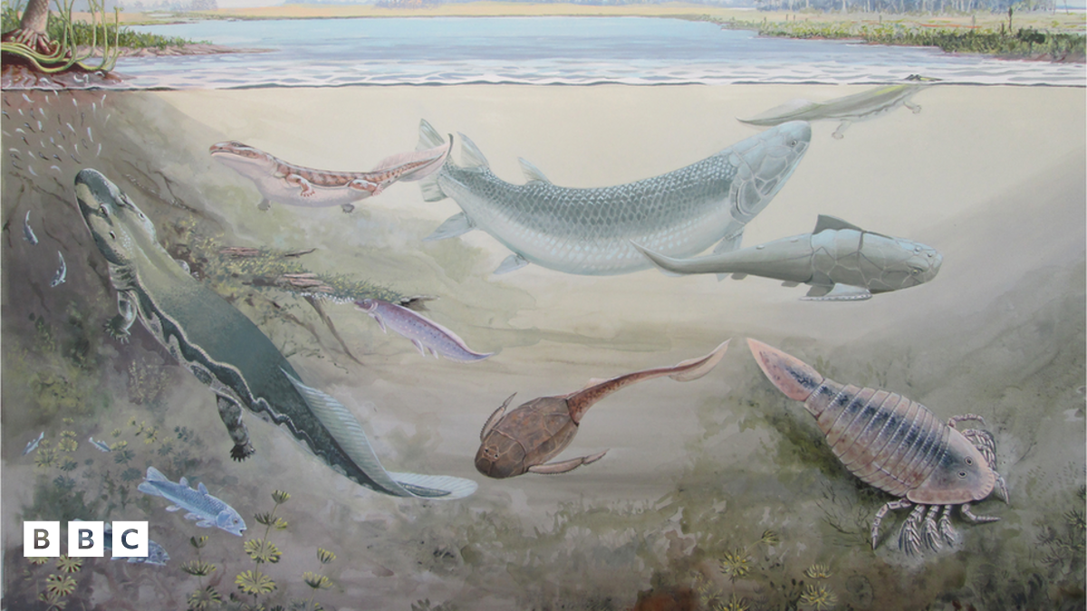 Fossil of giant prehistoric fish with deadly fangs found in South ...