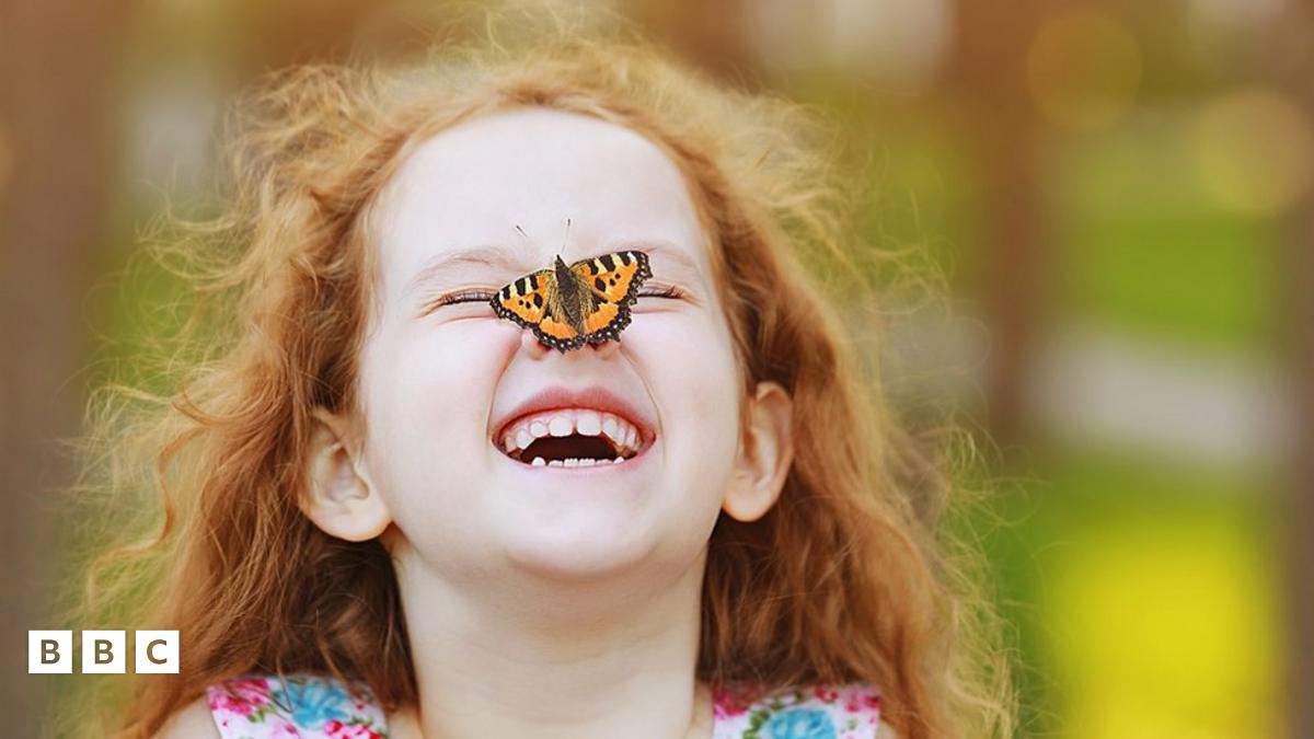 Scientists believe insects may have feelings - BBC Newsround