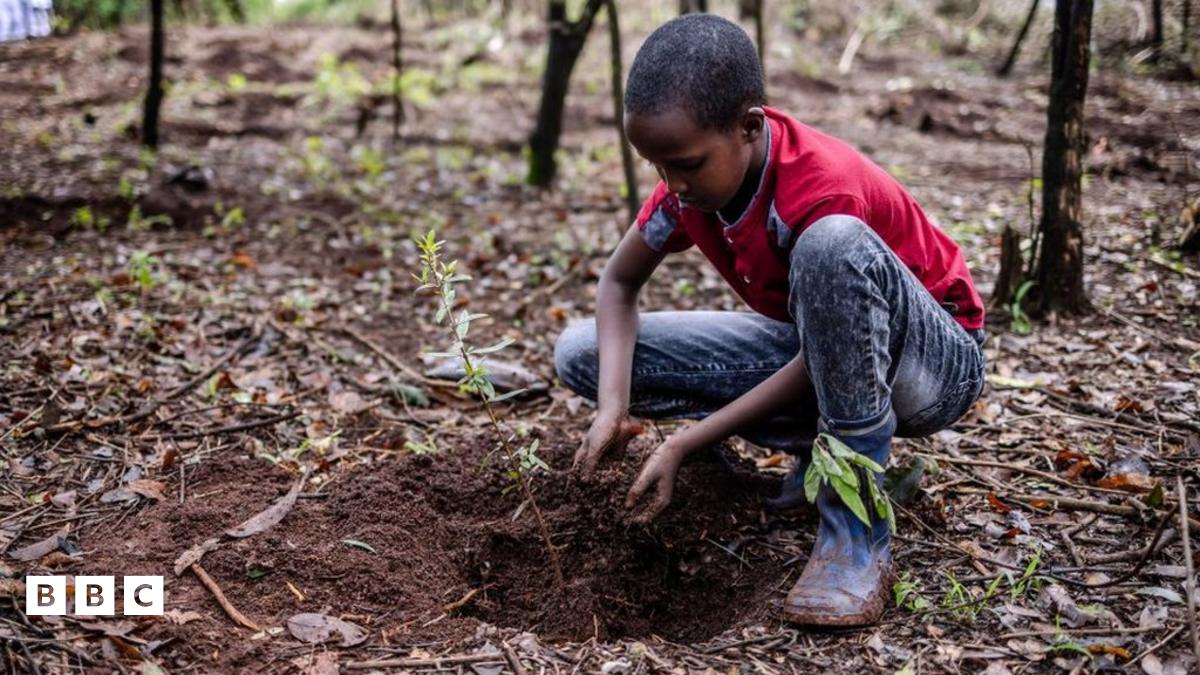 Kenya's goal to plant 15 billion trees - and more tree planting records ...