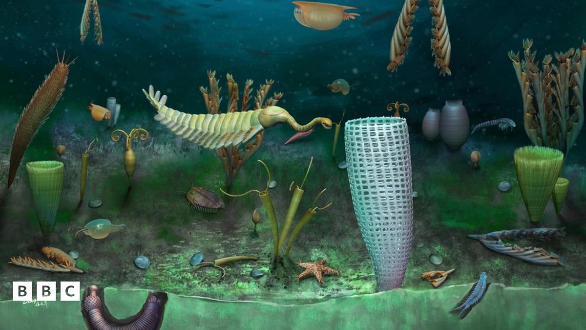 Extraordinary new fossils over 460 million years old found in Wales ...