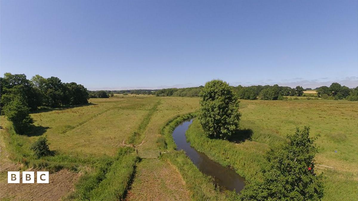 Conservation: What are chalk streams and why are they so rare? - BBC ...