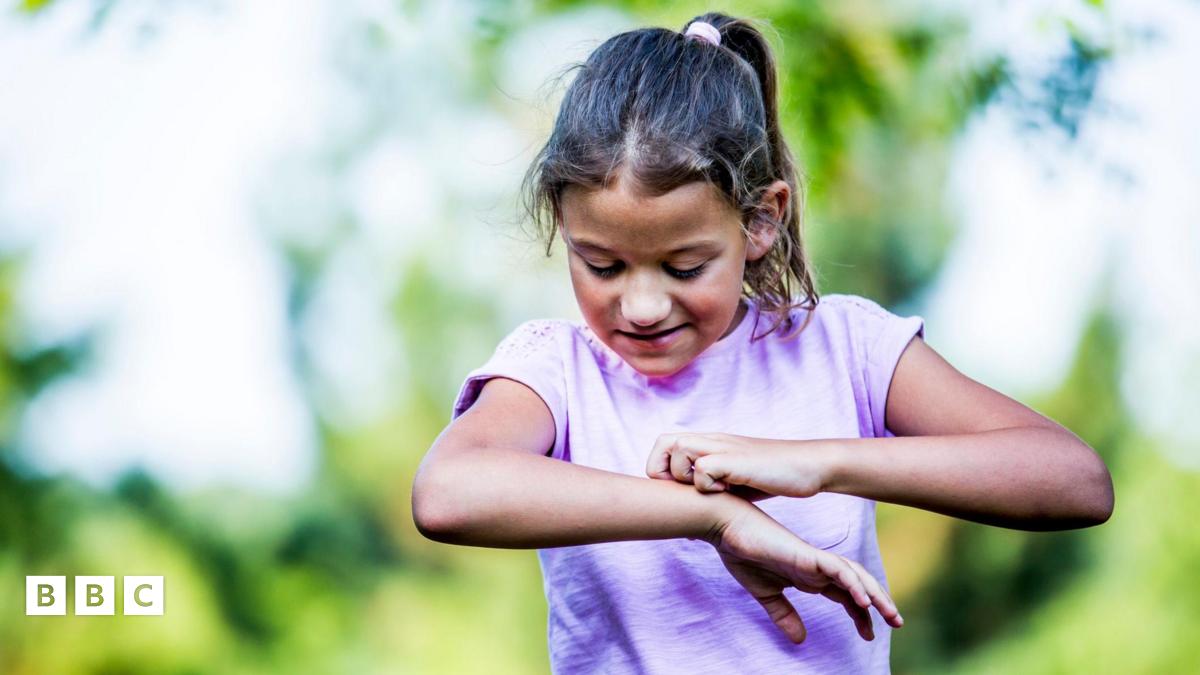 Scratching an itch - Scientists think they know why we do it - BBC ...