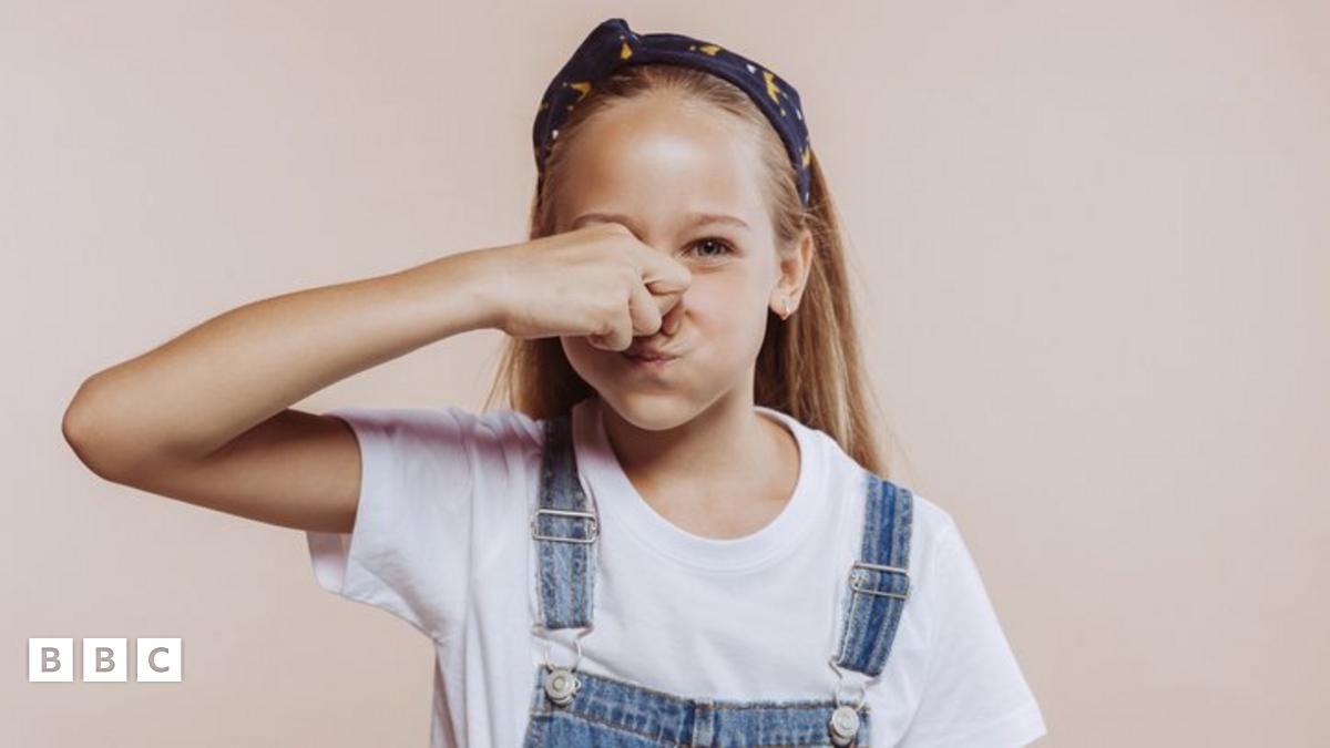 Artificial intelligence: How AI could be used to recreate old smells ...