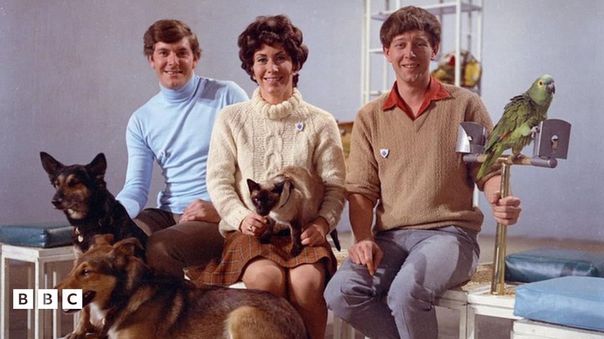 Blue Peter pets: Dogs, horses, and, of course, tortoises - BBC Newsround