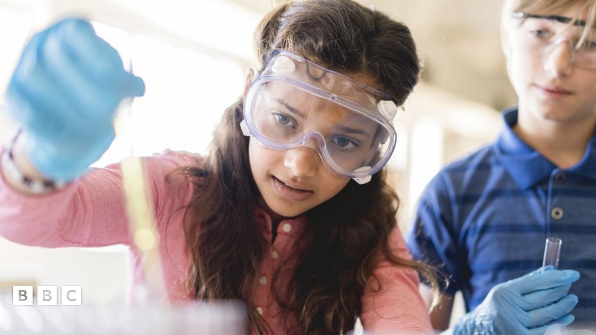 All you need to know about British Science Week 2022 - BBC Newsround