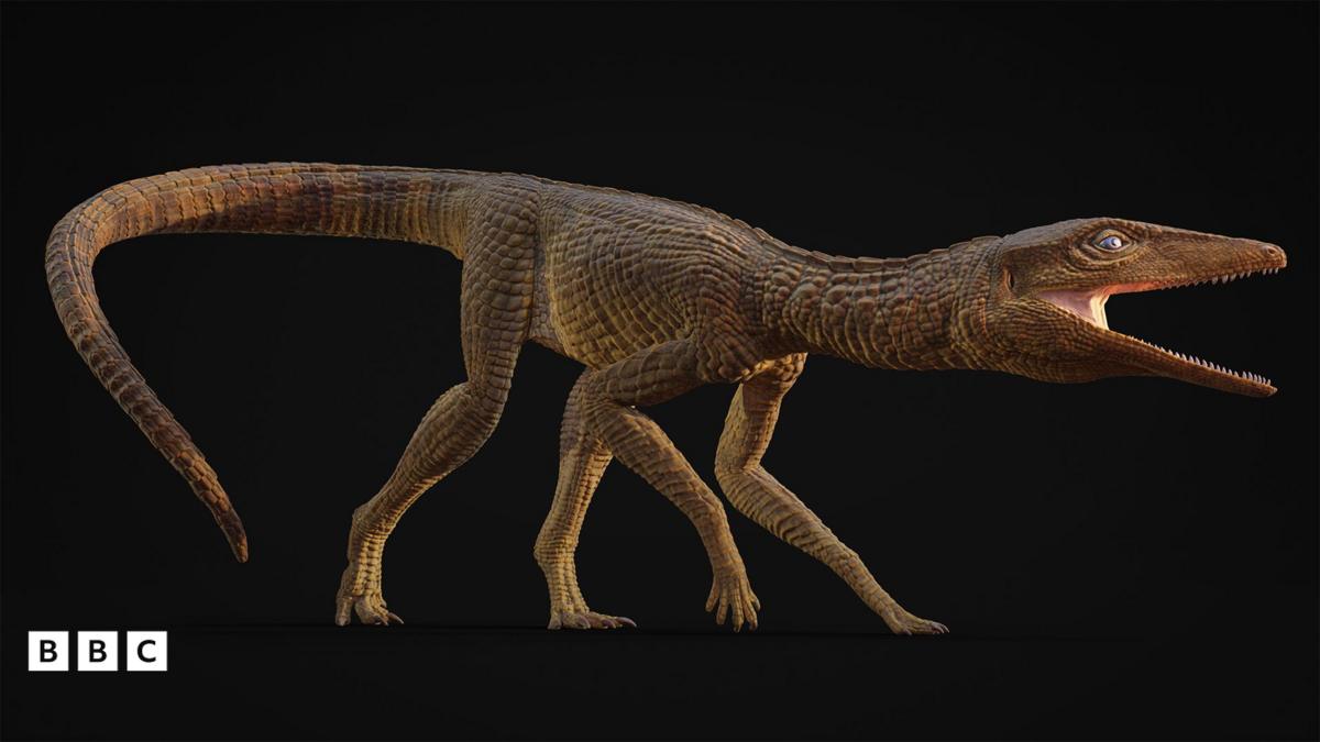 New species of dinosaur named after school teacher - BBC Newsround
