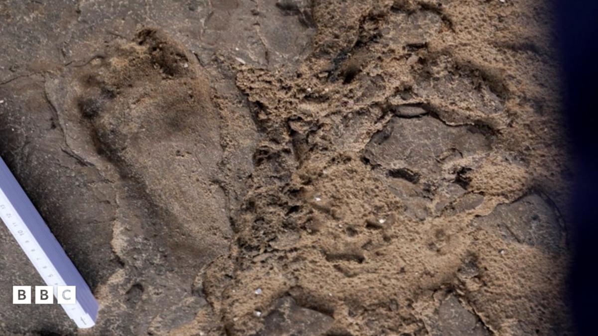 9,000-year-old human footprints found on Formby Beach! - BBC Newsround