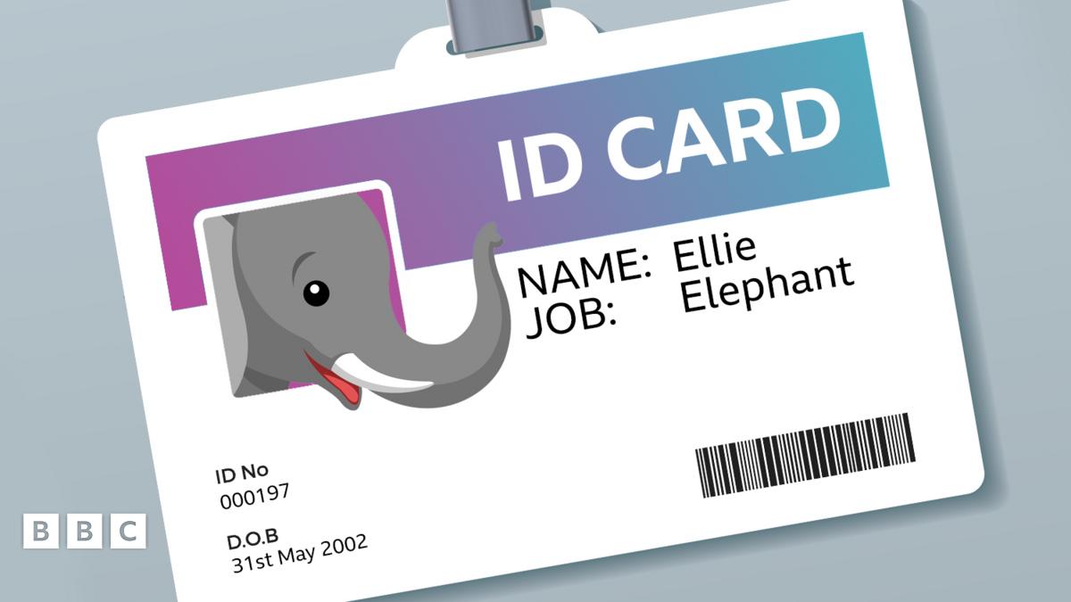 Sri Lankan elephants to get their own identity cards - BBC Newsround
