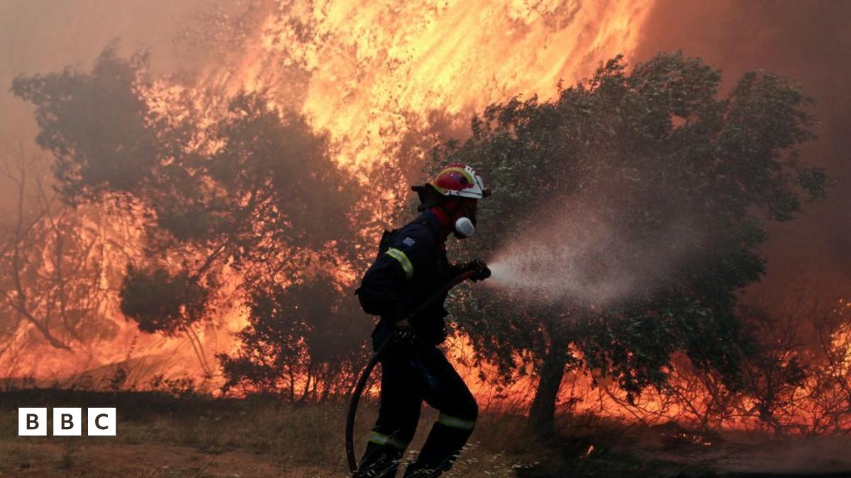 Wildfires: Extreme heat causing problems across Europe - BBC Newsround