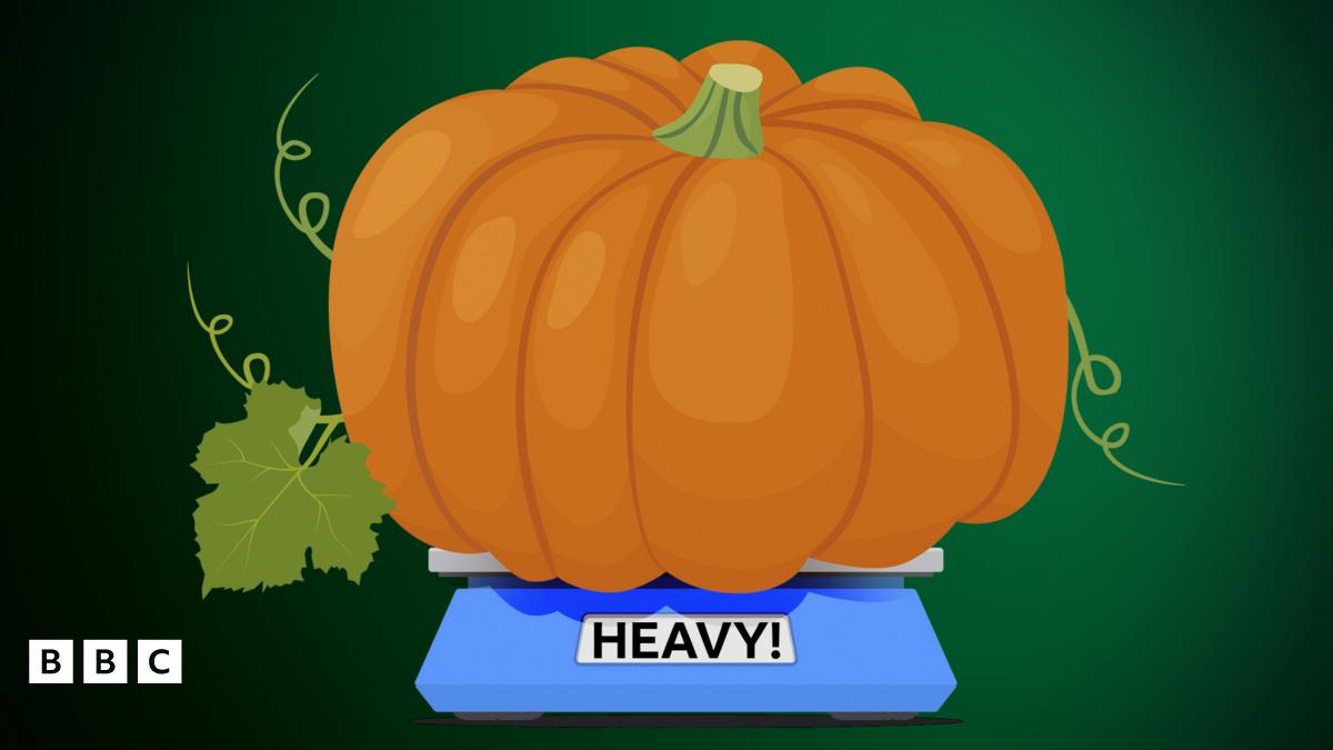 Record-breaking pumpkin weighs the same as a horse - BBC Newsround