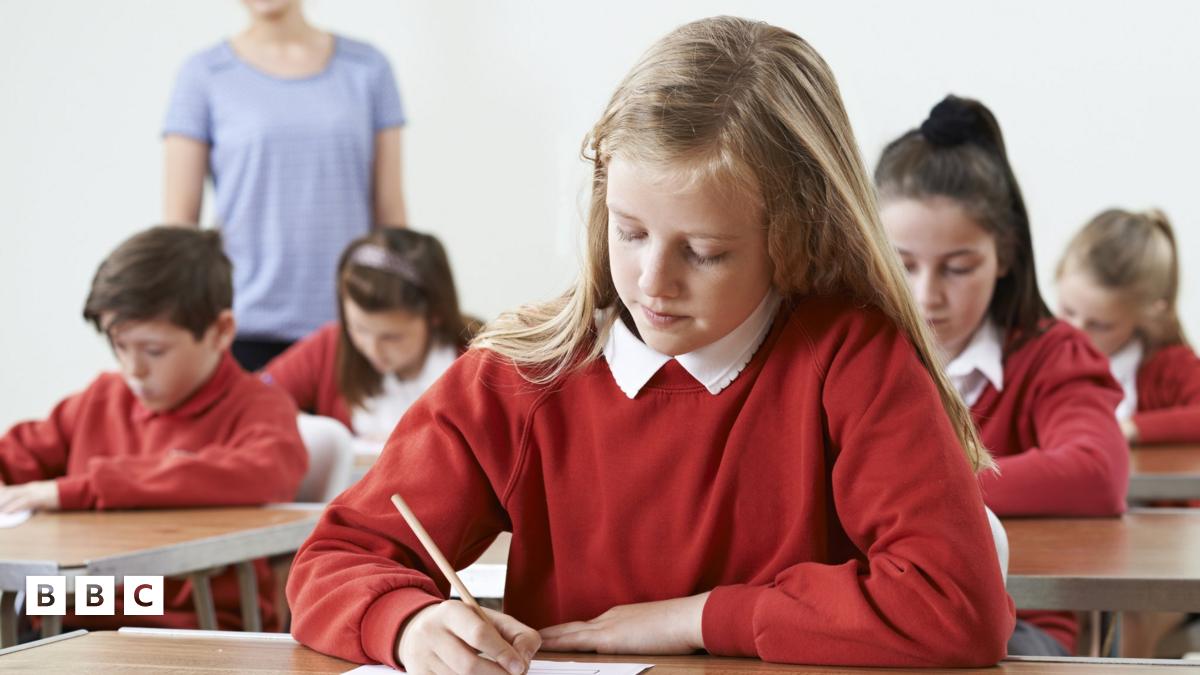 What are the different types of schools? - BBC Newsround