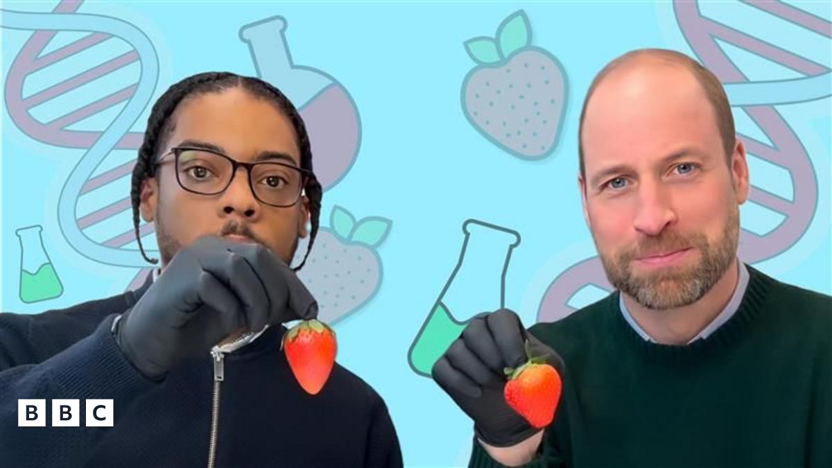 Prince William helps Big Manny with strawberry science experiment - BBC Newsround