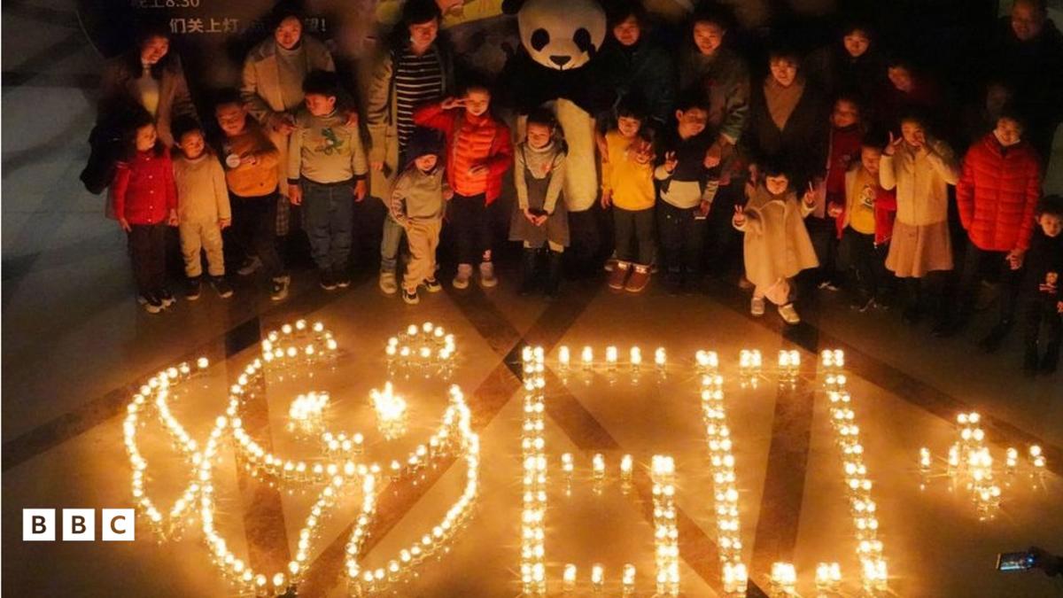 Earth Hour: Pictures from around the world - BBC Newsround