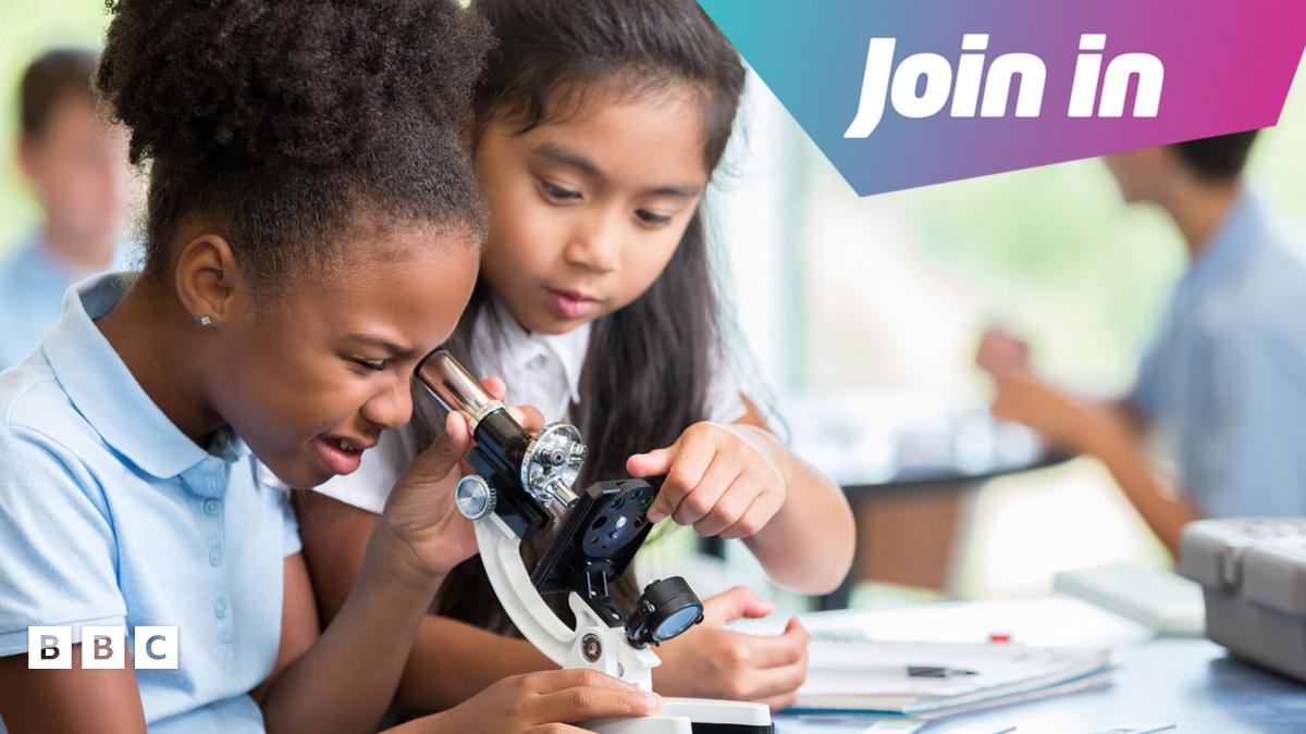 Join in: Do you like science? - BBC Newsround