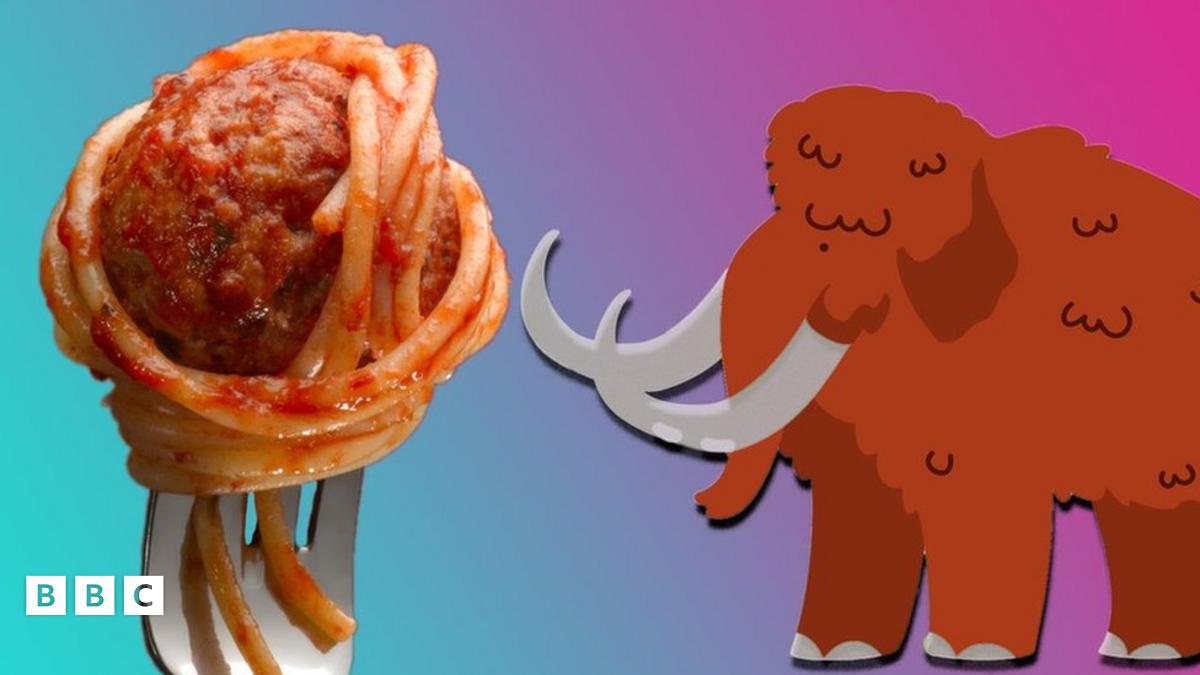 Woolly mammoth meatballs grown in lab could be food of the future - BBC ...