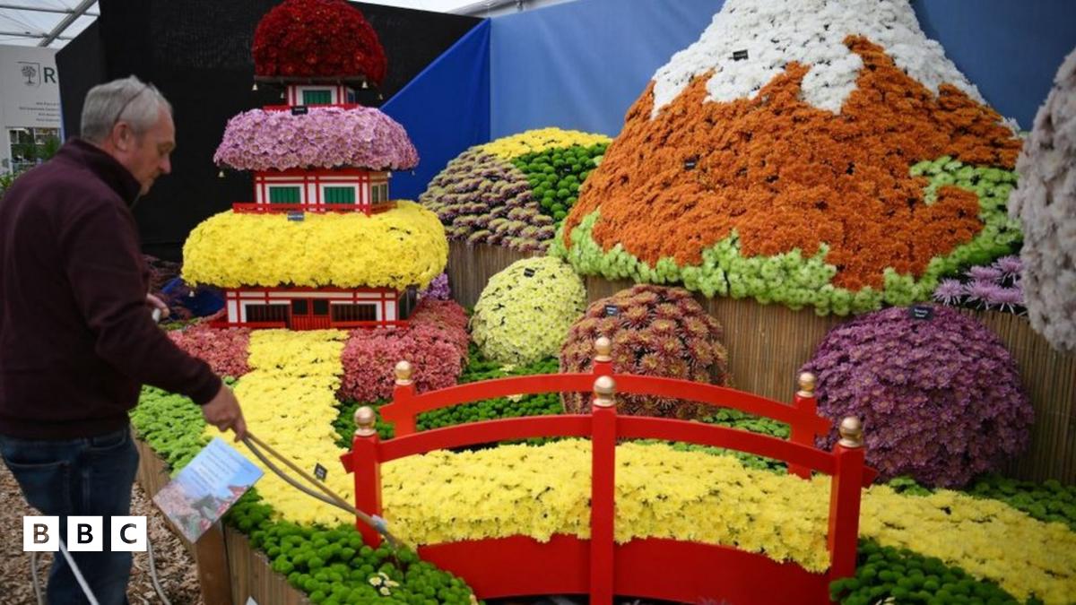 Chelsea Flower Show: Take a look at these fantastic floral designs ...