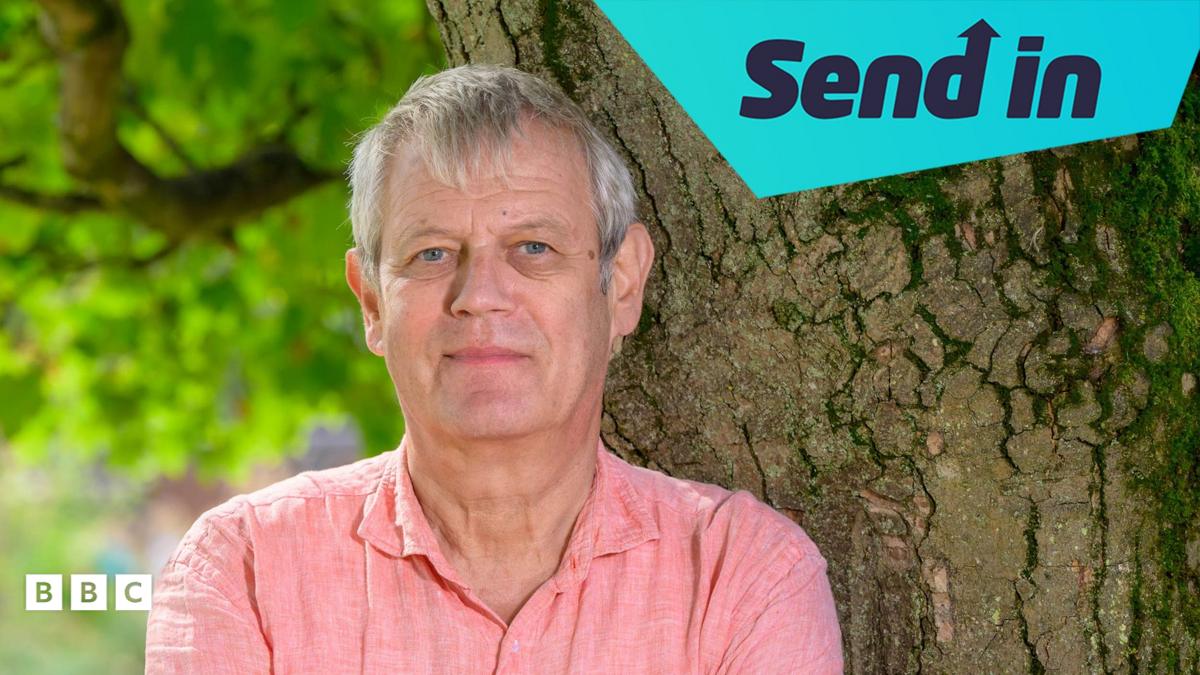 Send in your questions for Gruffalo illustrator Axel Scheffler - BBC ...