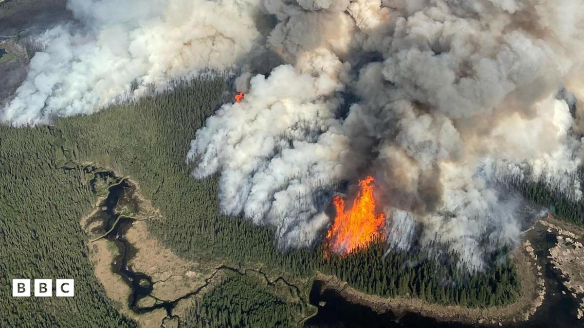 Canada wildfires: What's the latest? - BBC Newsround
