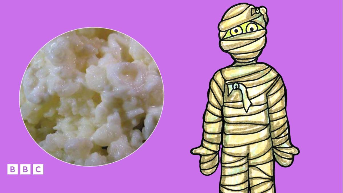 World's oldest cheese found buried with mummies in China - BBC Newsround