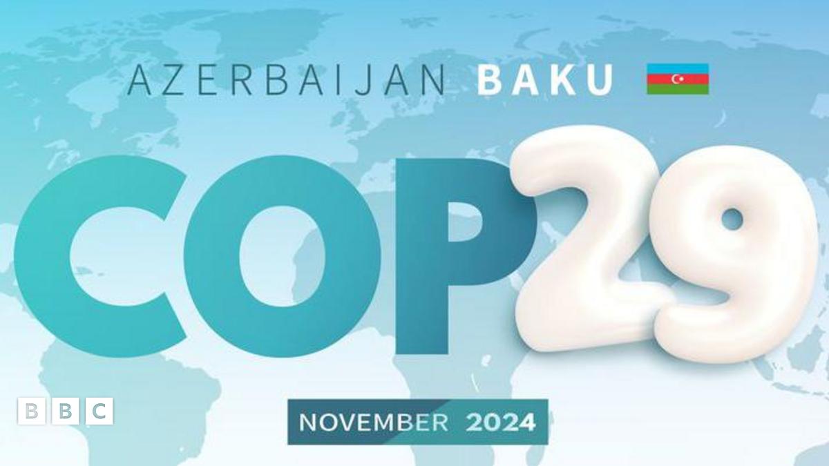 COP29: What is it? What can we expect? What does Trump mean for climate action? - BBC Newsround