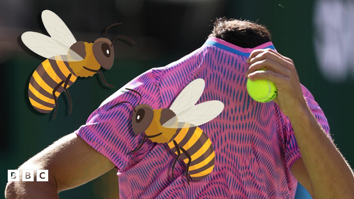 Carlos Alcaraz tennis match delayed after bees invade court - BBC Newsround