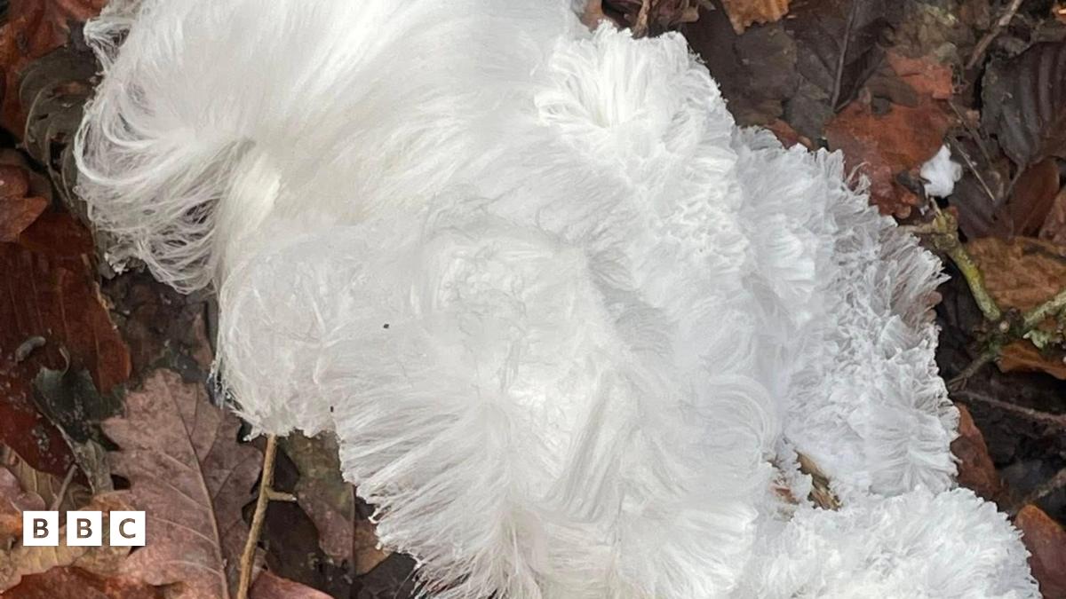 Check out the ice that looks like hair - BBC Newsround