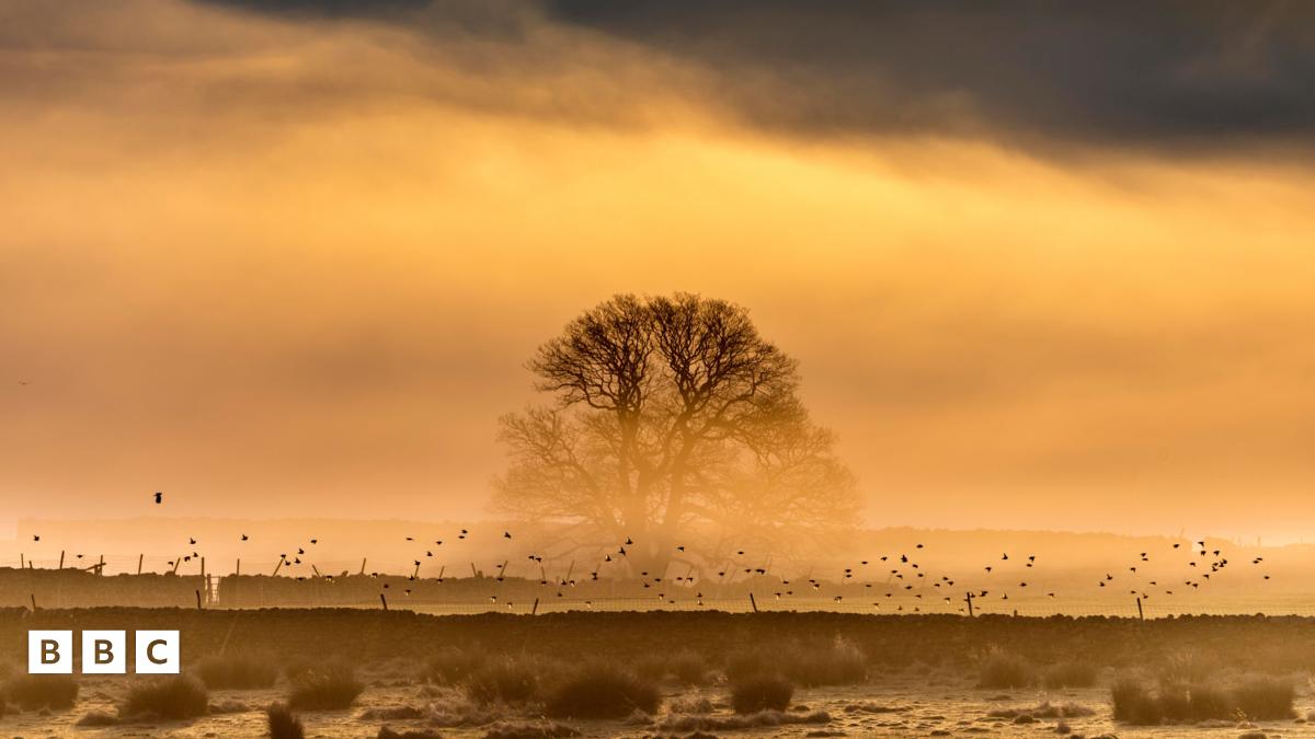 What's the difference between mist and fog? - BBC Newsround