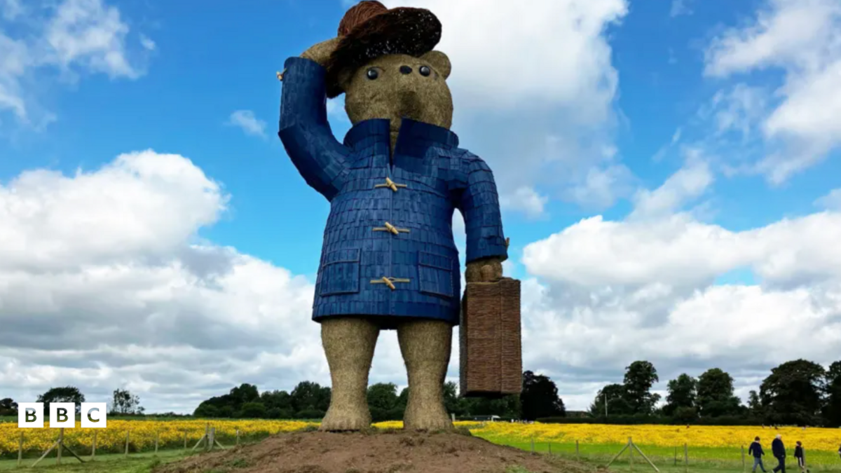 Paddington Bear giant sculpture spotted in Cheshire - BBC Newsround