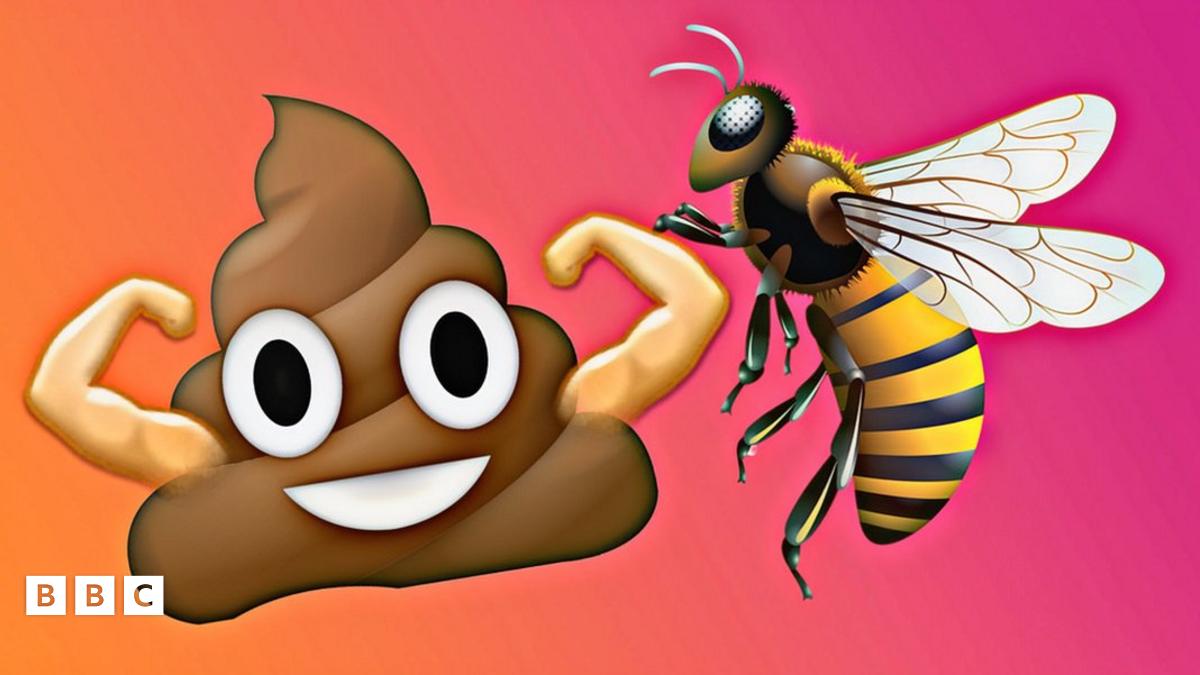 Why Asian honeybees are using poo to protect their hives - BBC Newsround