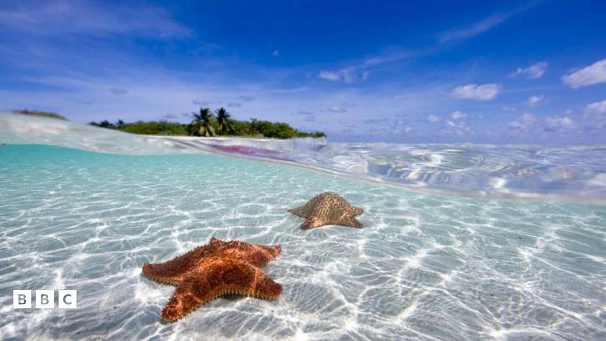 Parts of Caribbean Sea to be mapped for the first time - BBC Newsround