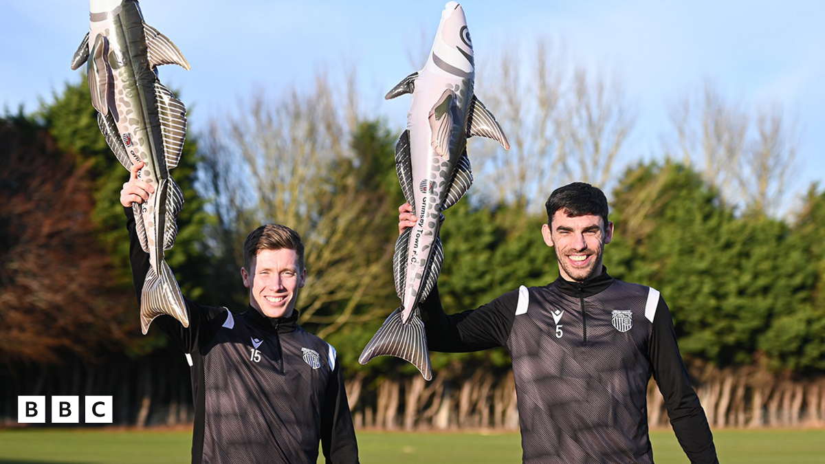 Harry the Haddock: Why was the inflatable banned at Grimsby vs ...