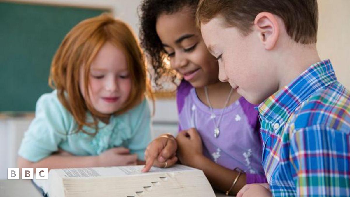 Parasocial: Cambridge Dictionary Word of the Year 2025 announced - BBC ...