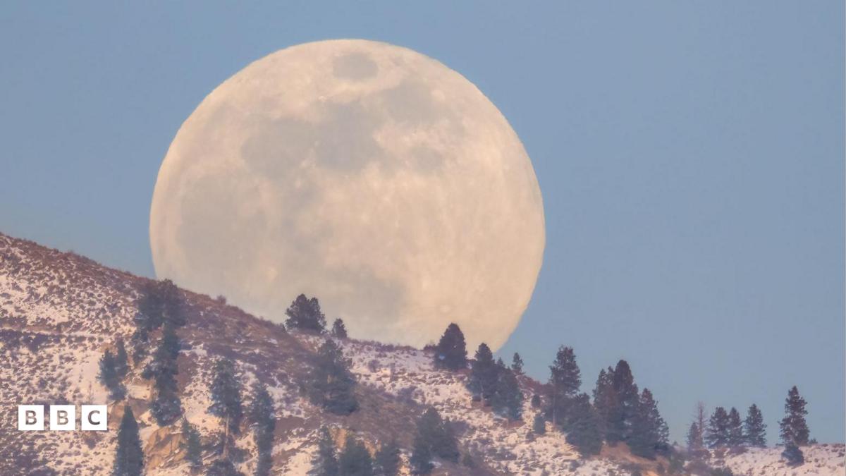 Snow Moon 2025: When can I see February's full moon? - BBC Newsround