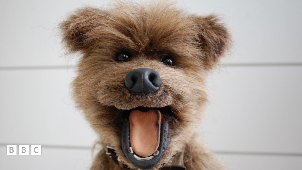 CBBC's Hacker T Dog celebrates 15 years on the TV - BBC Newsround