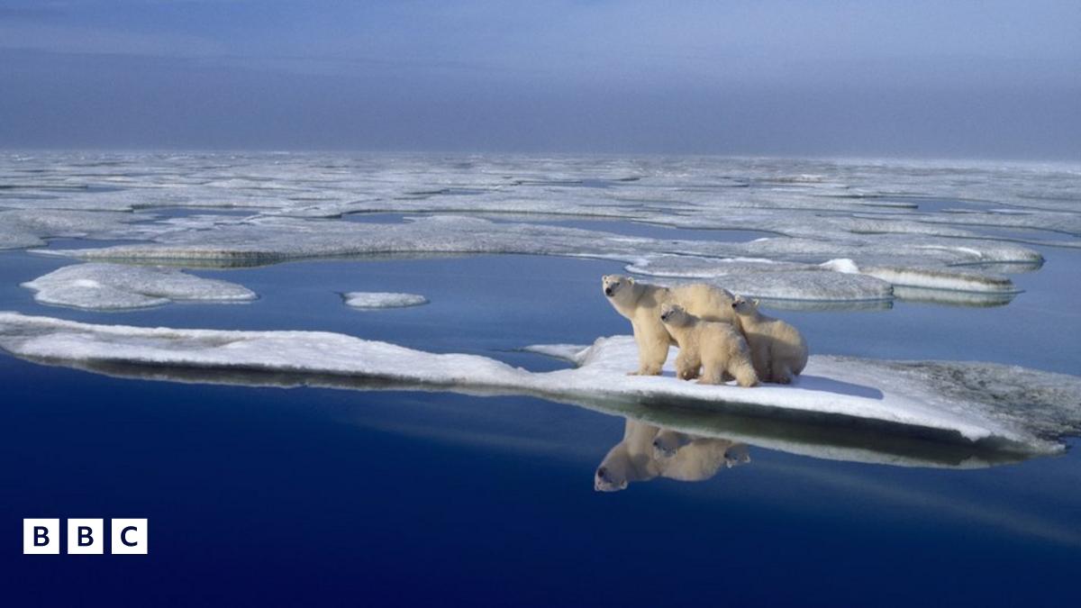 Climate change: Ocean acidification affects Arctic Ocean most - BBC ...