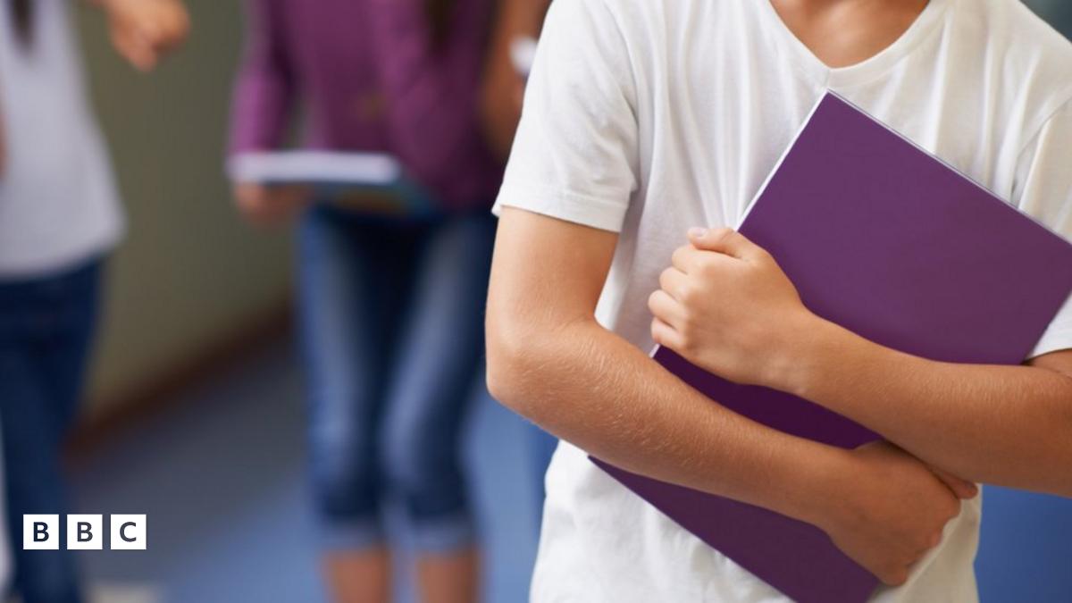 Anti-Bullying Week: Different types of bullying explained - BBC Newsround