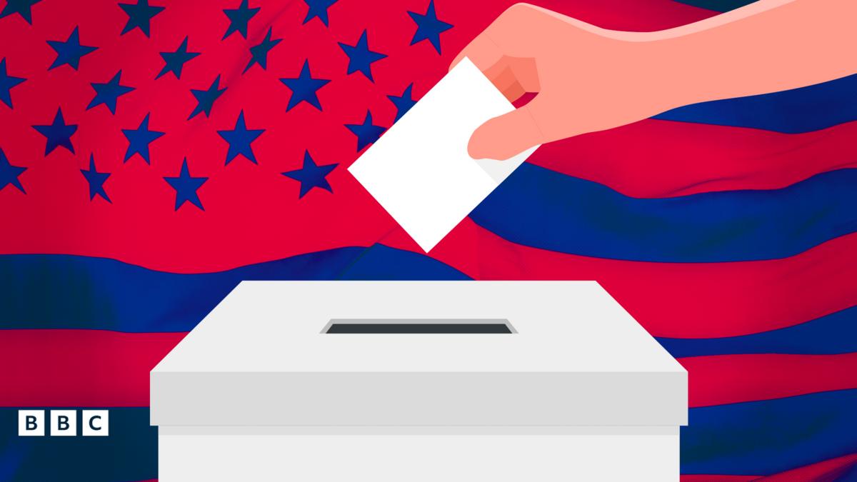 US election 2020: What are the big issues? - BBC Newsround