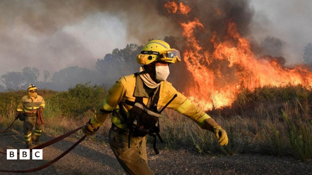 Climate Change: England to try Mediterranean firefighting techniques ...