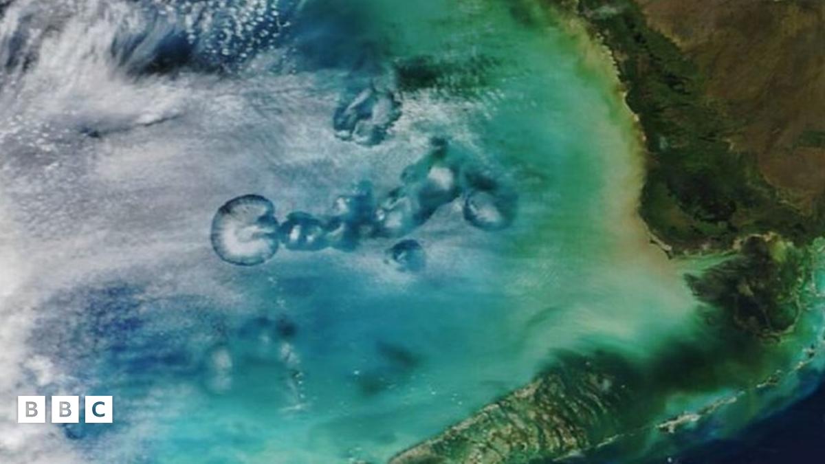 Fallstreak holes: Nasa spots rare 'UFO' cavum clouds from space - BBC ...