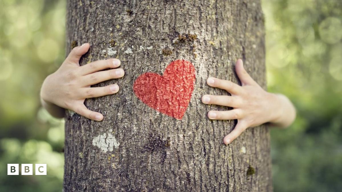 Unbe-leaf-able! Student sets tree hugging record - BBC Newsround