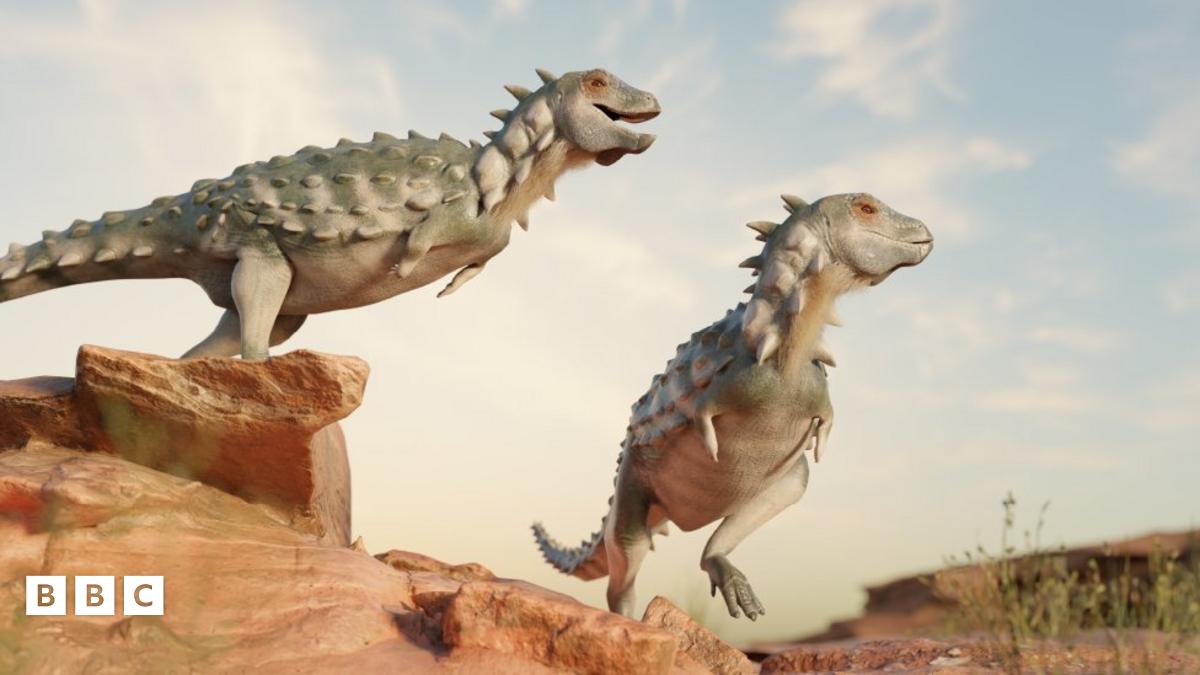 Dinosaurs: Scientists discover tiny dino the size of a cat! - BBC Newsround