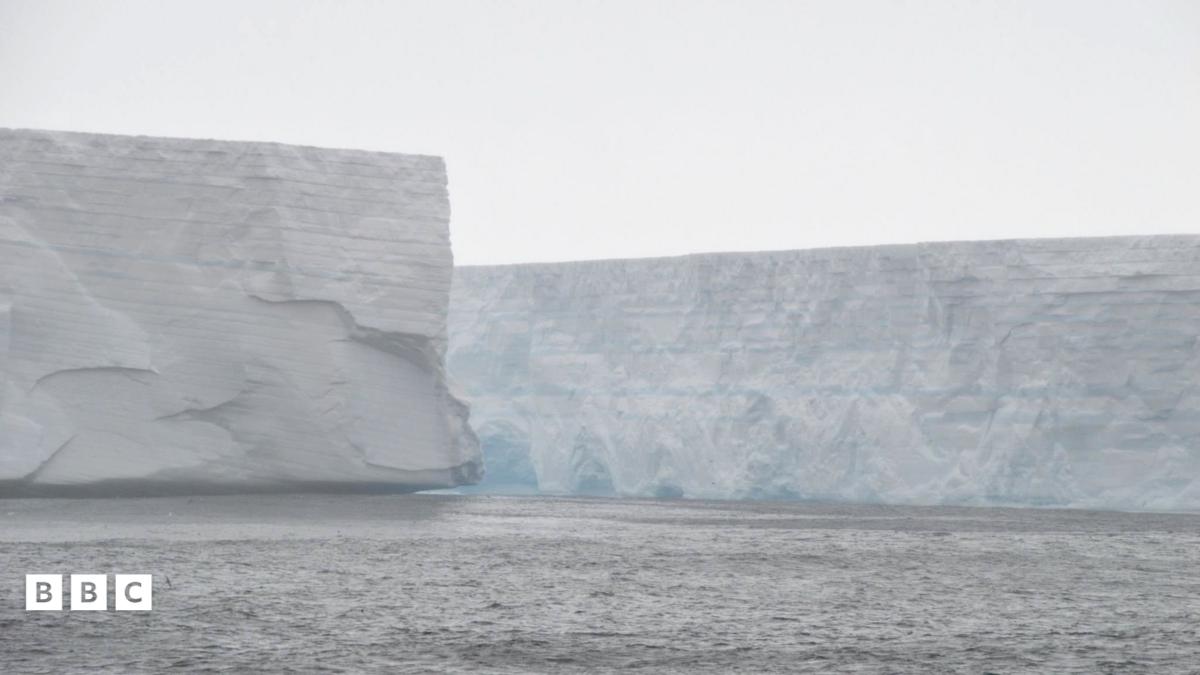 Scientists are following two huge icebergs on an epic journey - BBC ...