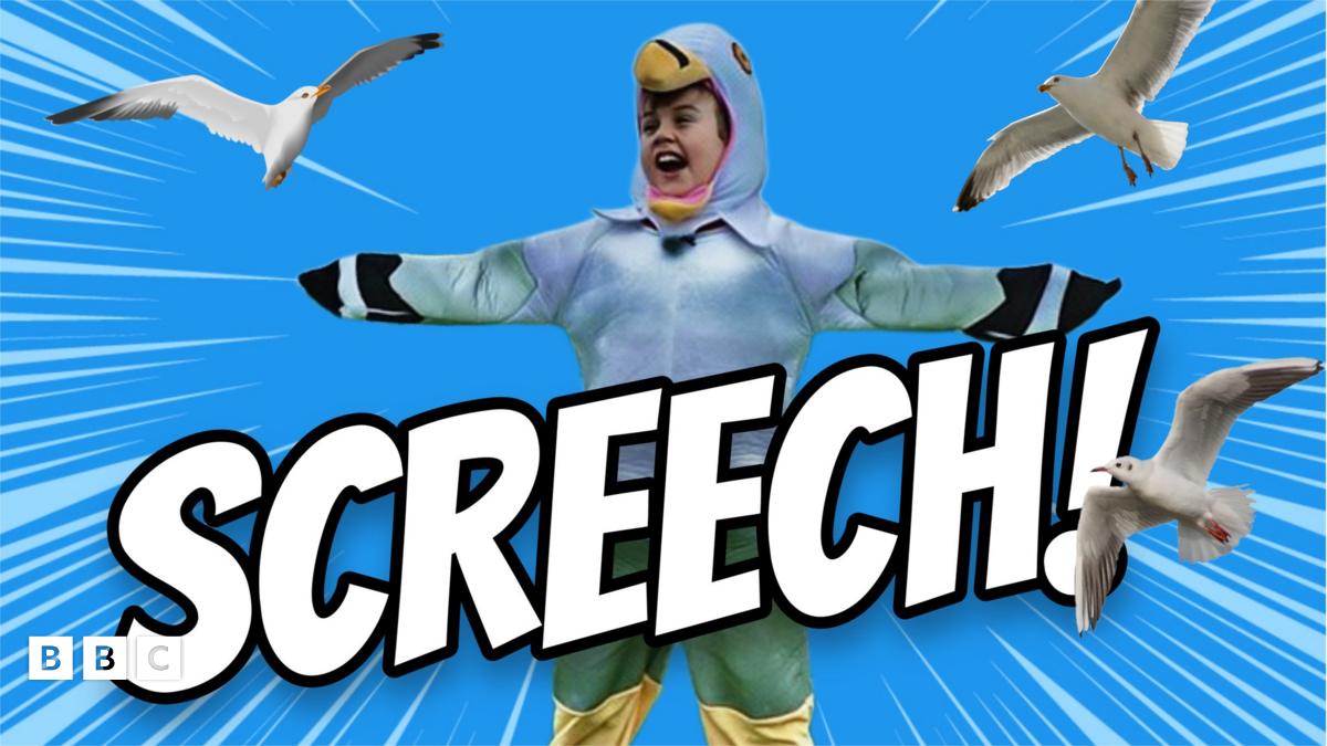 How does 'Seagull Boy' make those screeching sounds? - BBC Newsround