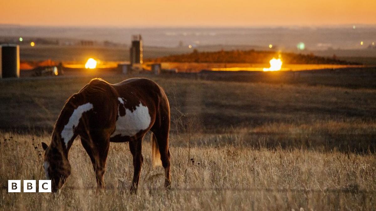 COP26: Global methane pledge to cut the greenhouse gas by 30% by 2030 ...