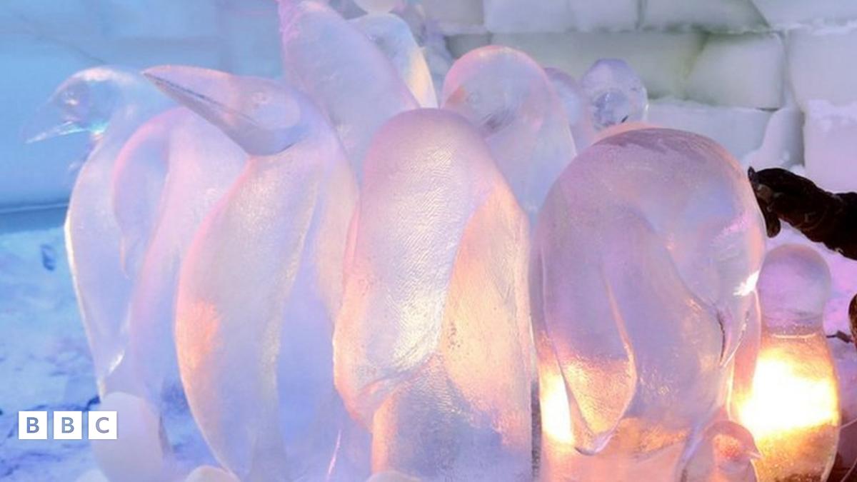 Ice work! Incredible frozen sculptures - BBC Newsround