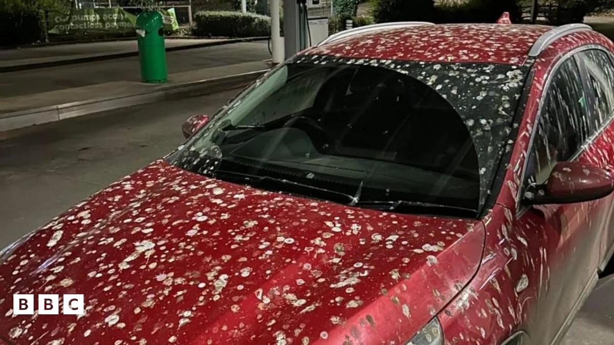 The village with a big bird poo problem - BBC Newsround