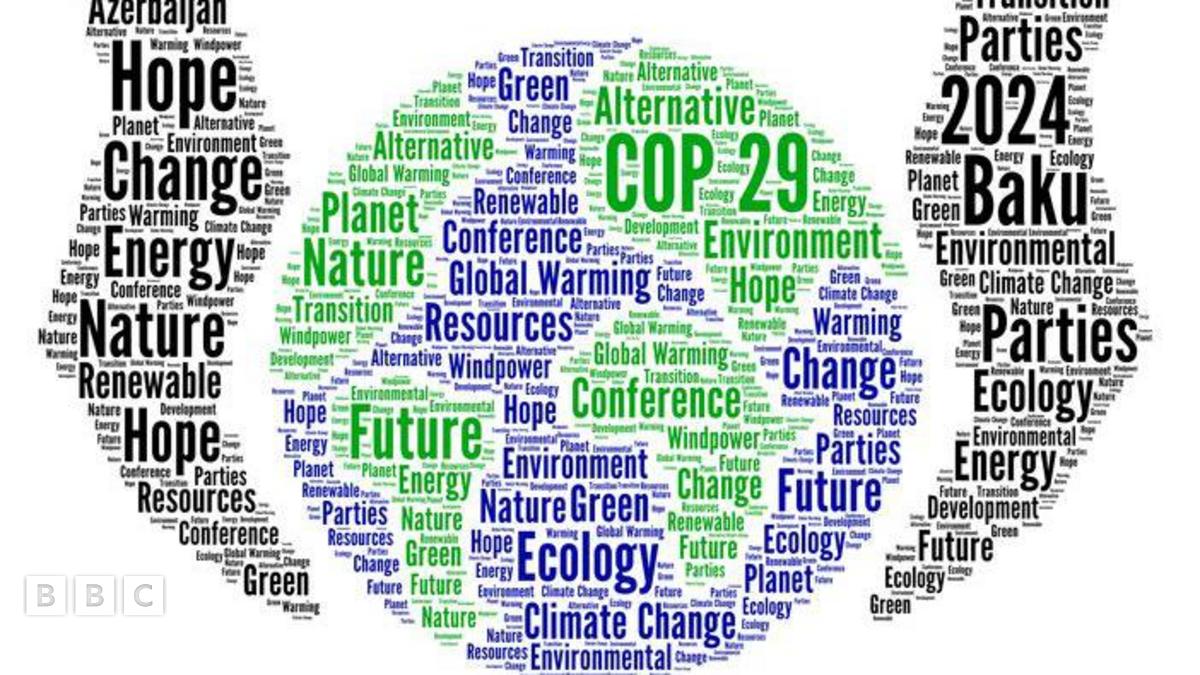 COP29 Glossary: What do all the words mean? - BBC Newsround