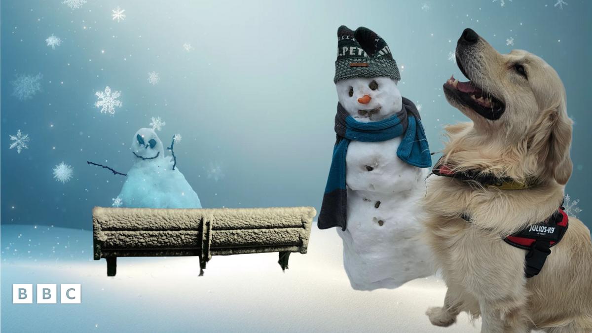 Winter weather: Check out YOUR snow photos here - BBC Newsround